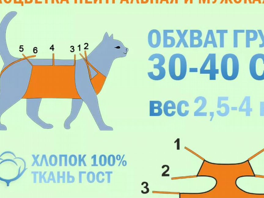 Попона для кошки