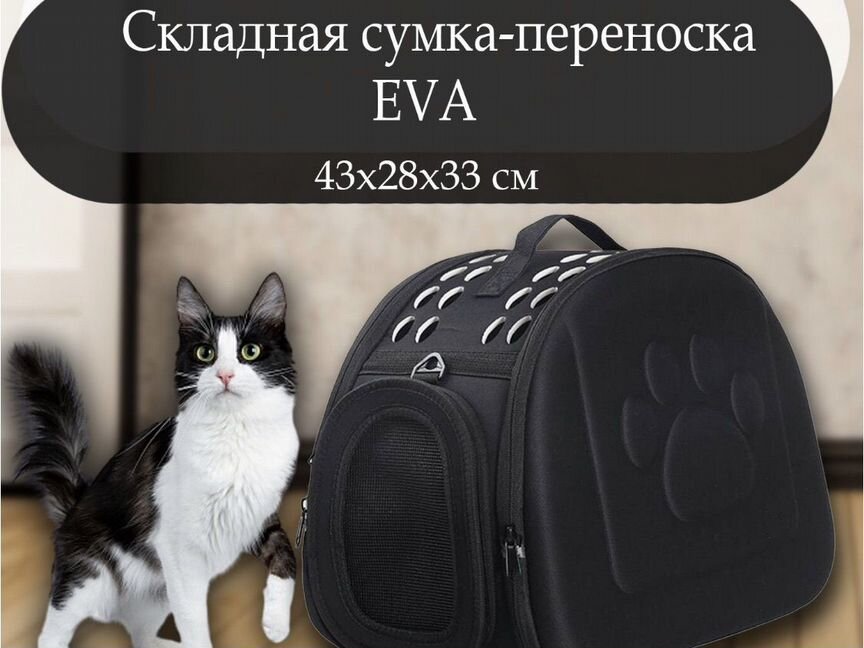 Переноска в аренду