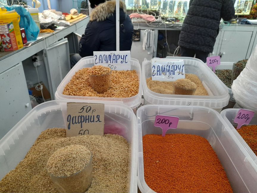 Корма для рыбок, ежей,рептилий и других