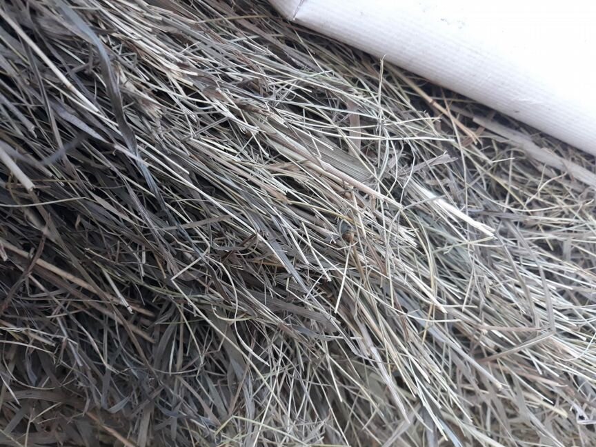 Сено разнотравье в мешках