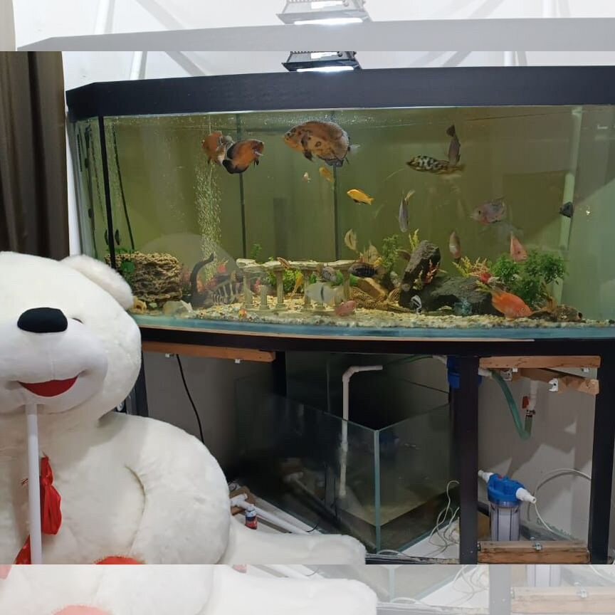 Аквариум с тумбой