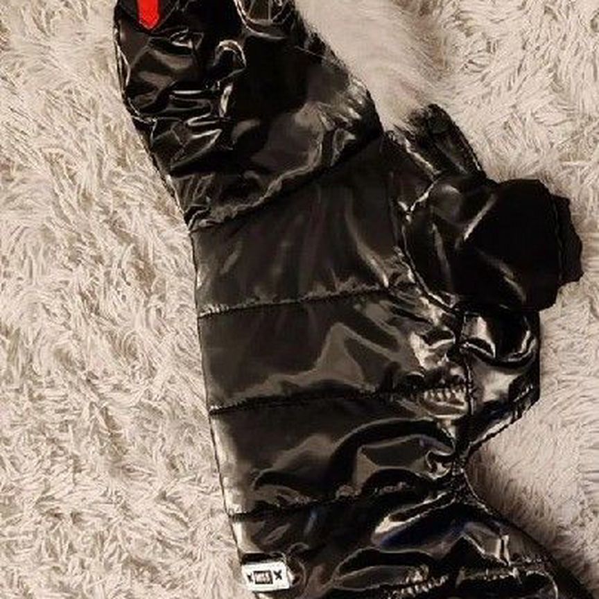 Одежда для собак мелких пород зима