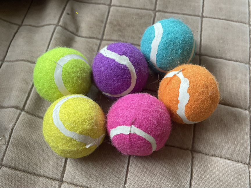 Мячики для собаки