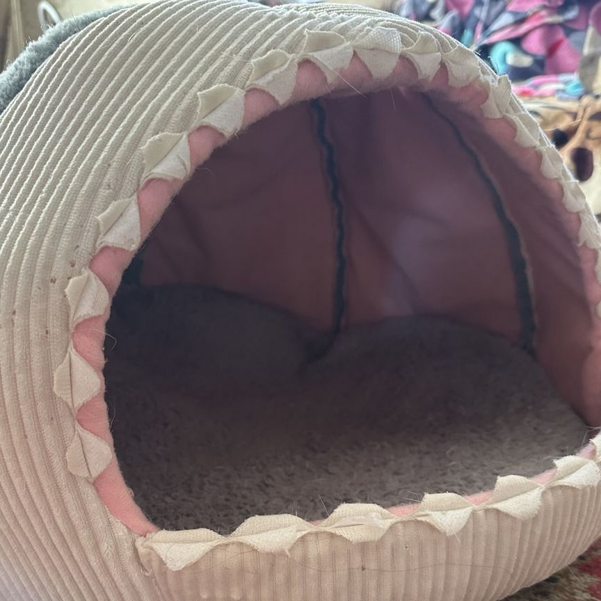 Домик для кошки/собачки бу