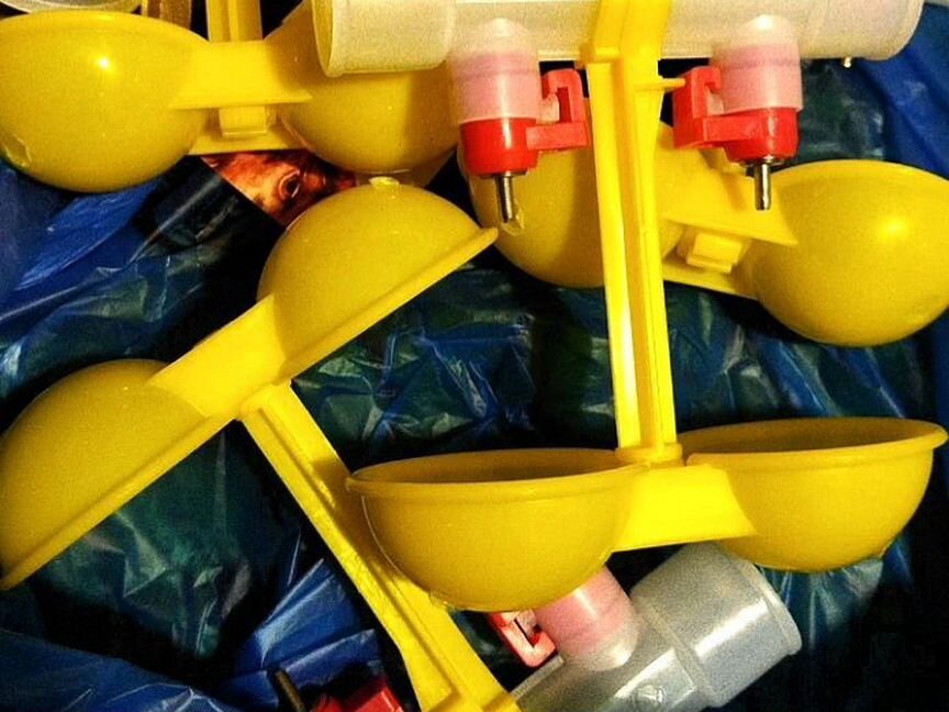 Ниппельные поилки для кур