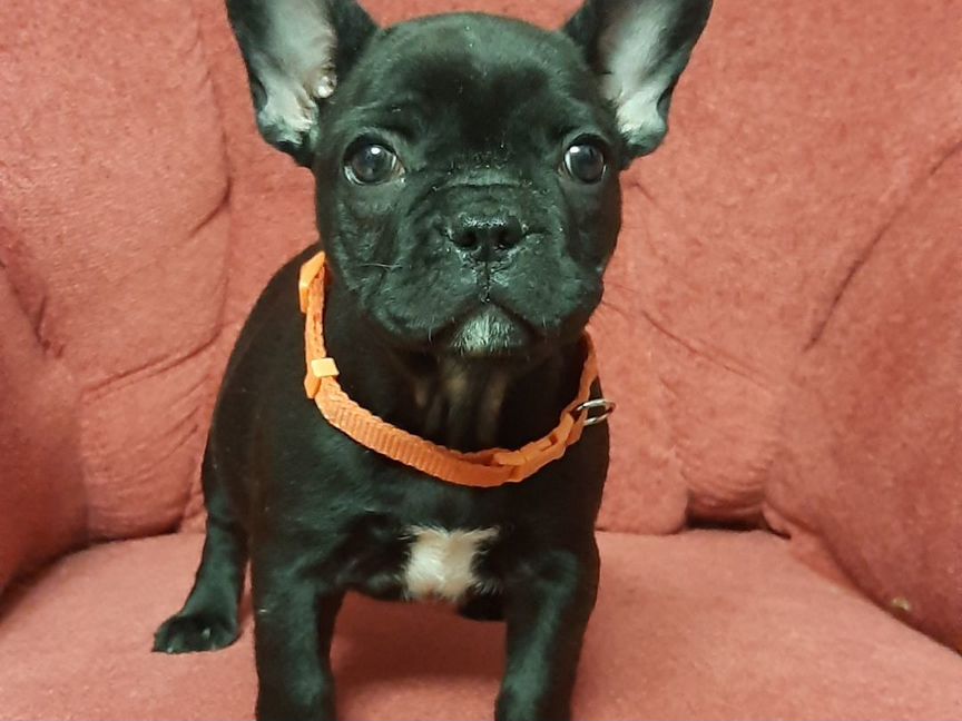 Очаровашка ждёт Вас