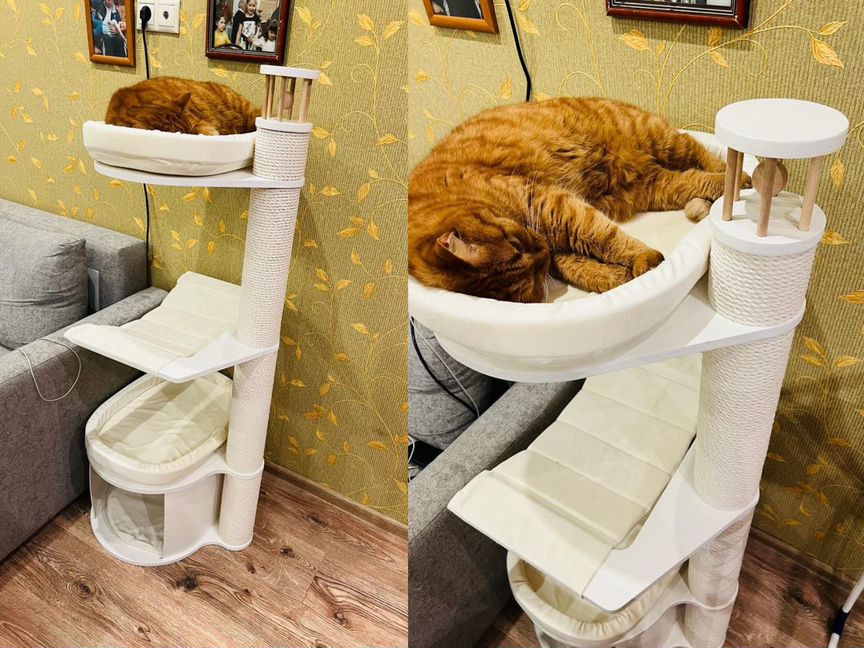 Когтеточка для кошки
