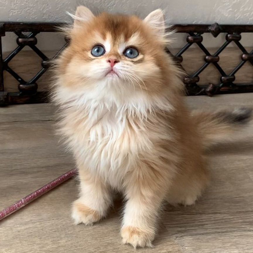 Мальчик с кукольной мордашкой