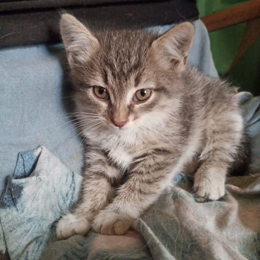 Спасеная из трубы малышка