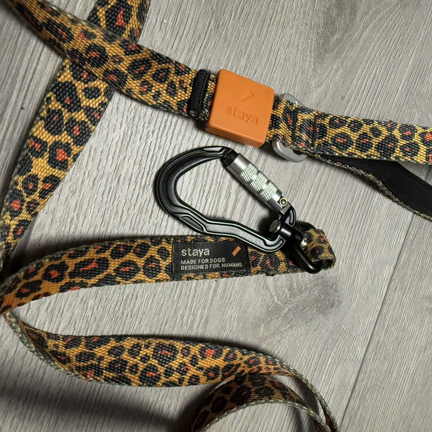 Поводок Staya
