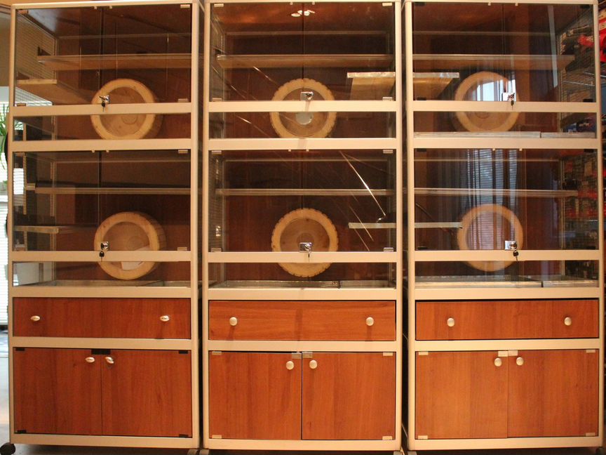 Витрина на две семьи для шиншилл, дегу, белок