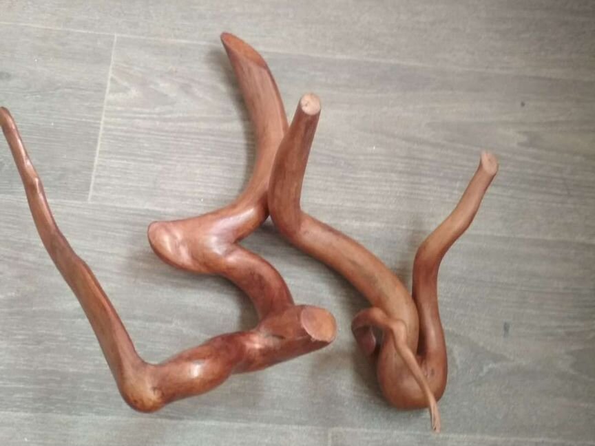 Каряги Березы