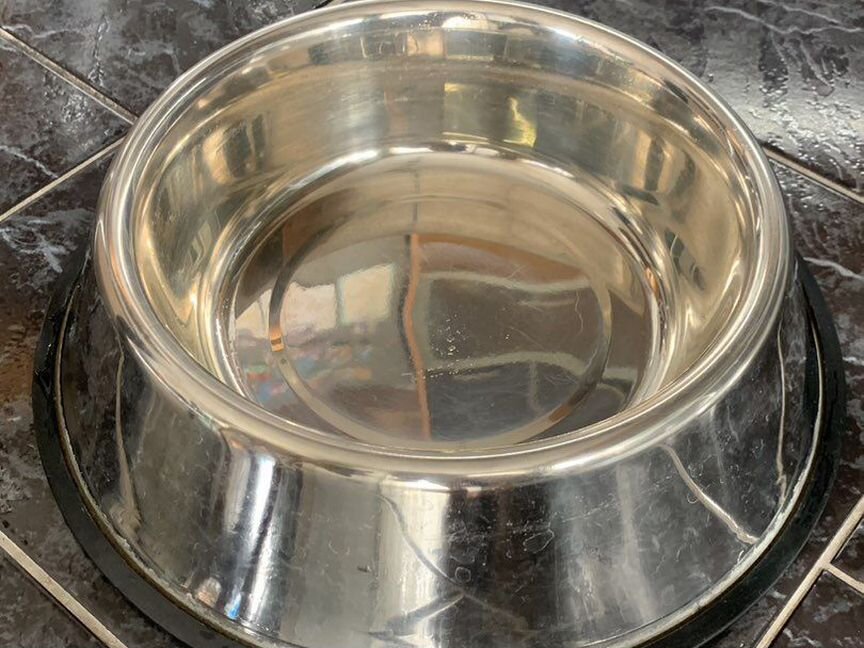 Миска для собаки