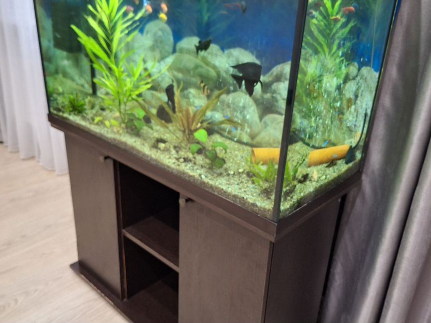 Оборудование для аквариума