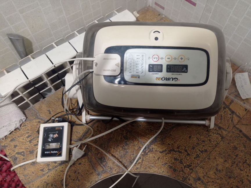 Инкубатор для яиц автоматический бу корейский