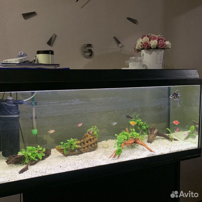 Акввриум с тумбой 240л