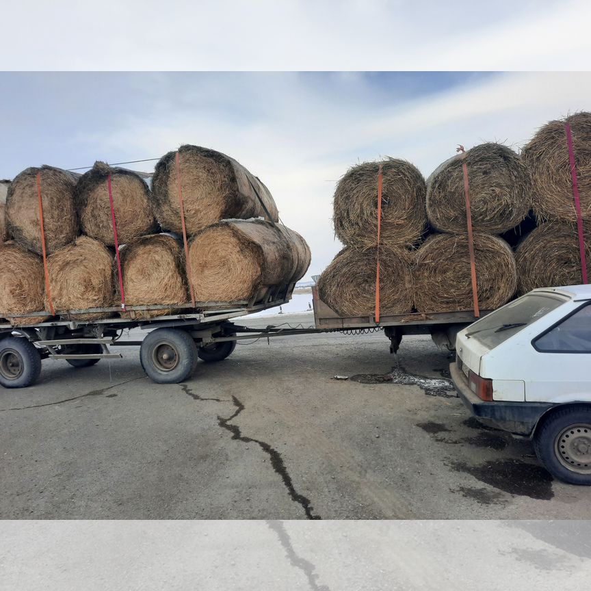 Солома в рулонах ставропольский край