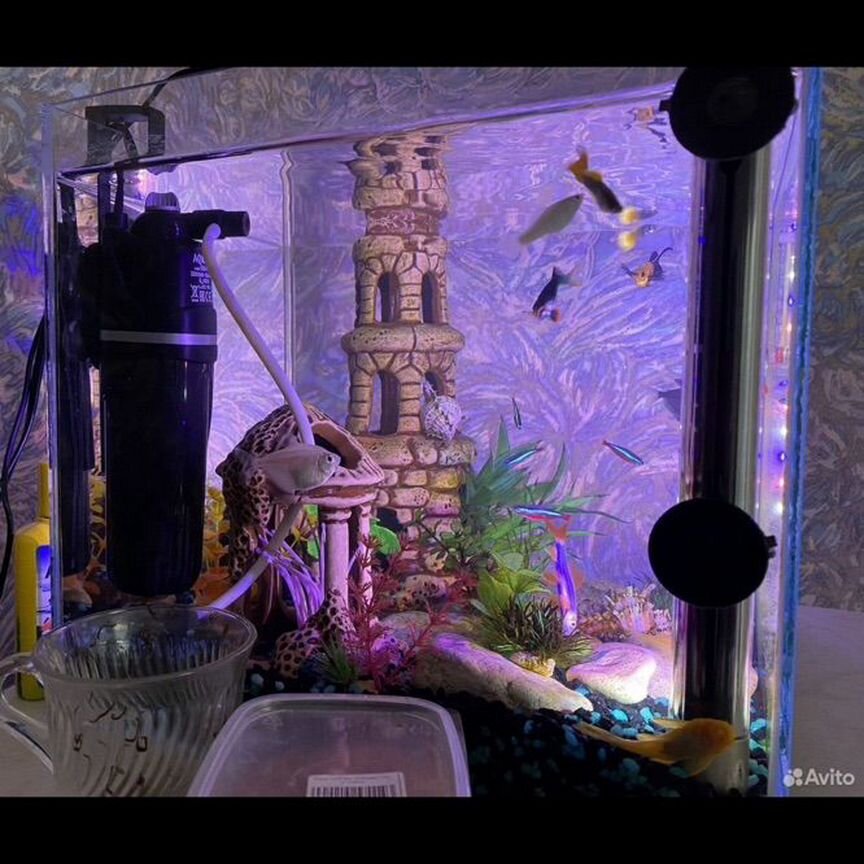 Продаю аквариум 30 л. без рыбок со всем содержимым