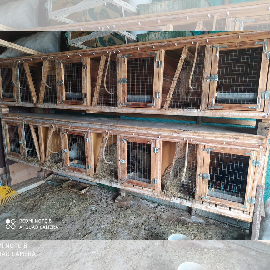 Продаю б/у клетки для кролей с маточником