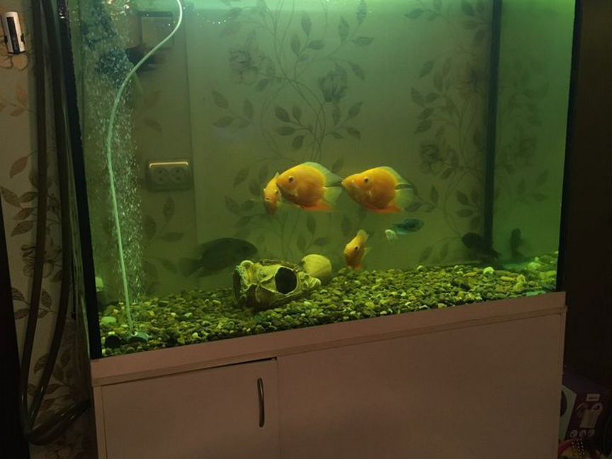 Аквариум 450литров