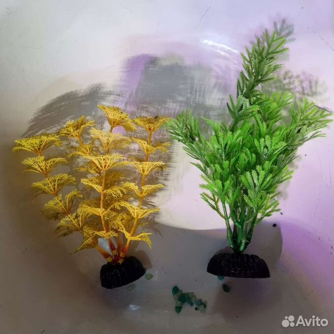 Водоросли для аквариума,декор,камни,ракушки,грунт