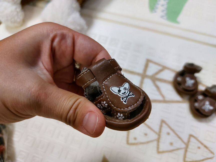 Сандали для мелких пород собак