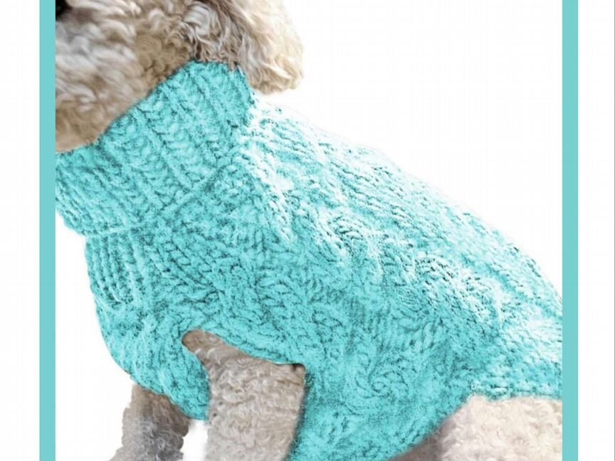 Одежда для собак, одежда для котов