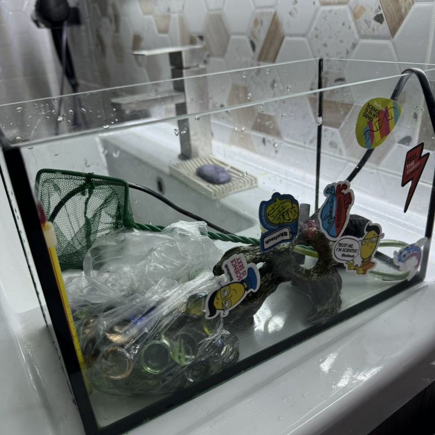 Аквариум для рыб