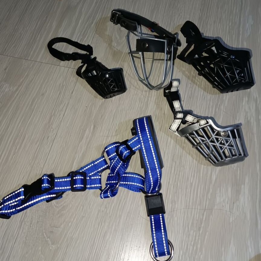 Амуниция для собак