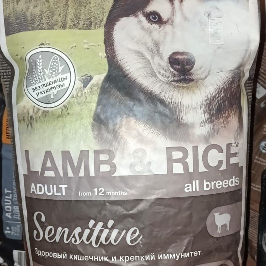 Корм для собак