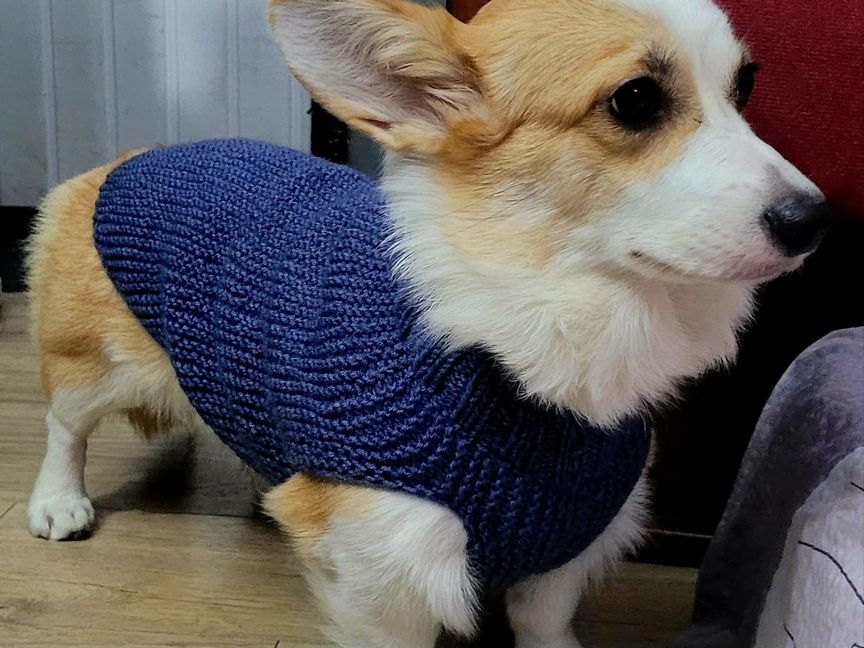 Свитер для собак и кошек