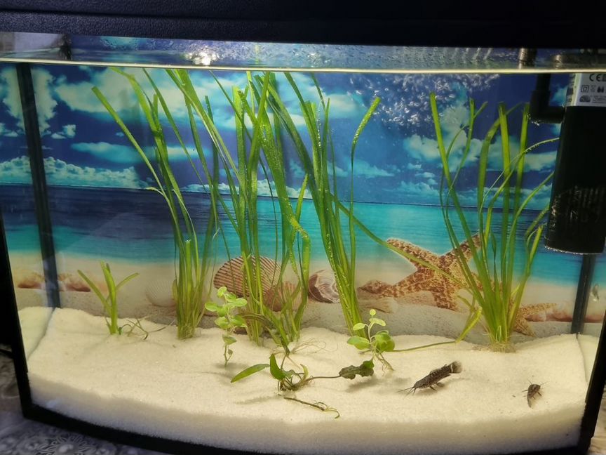 Аквариум 25л