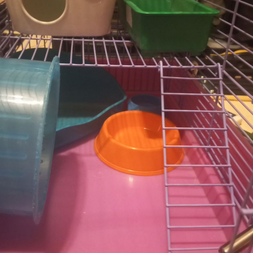 Клетка для мелких грызунов