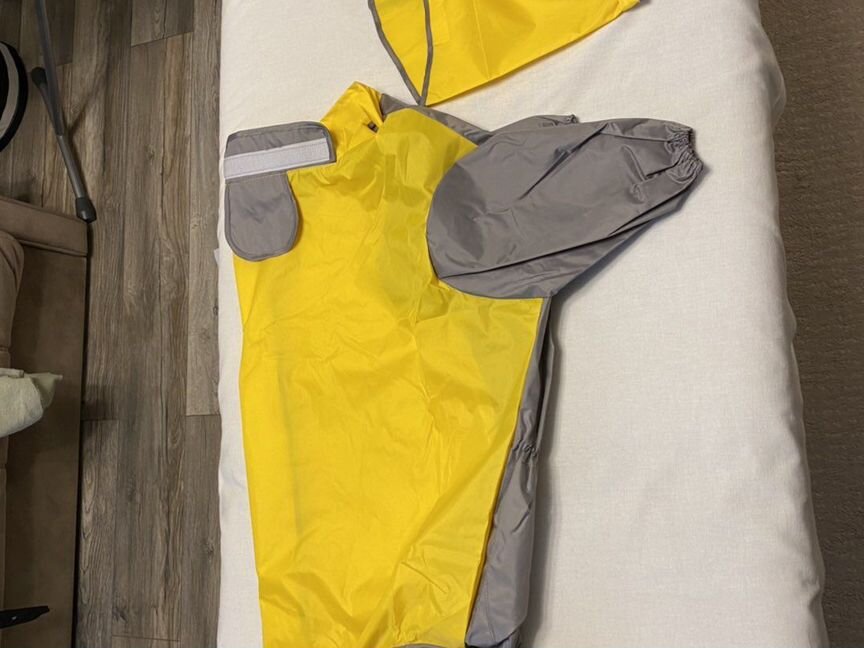 Одежда для собак