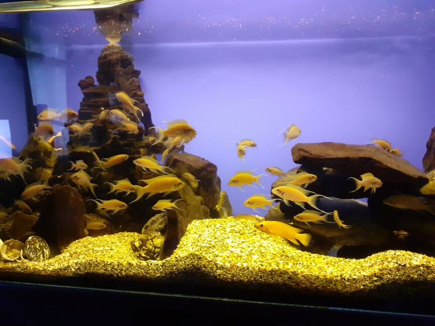 Украшение для аквариума