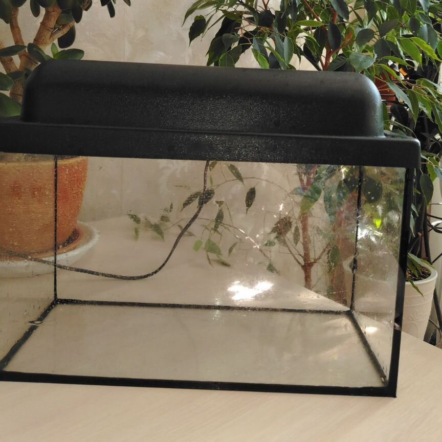 Аквариум с крышкой и подсветкой