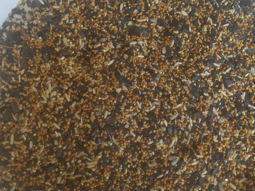 Корм для лесных певчих птиц