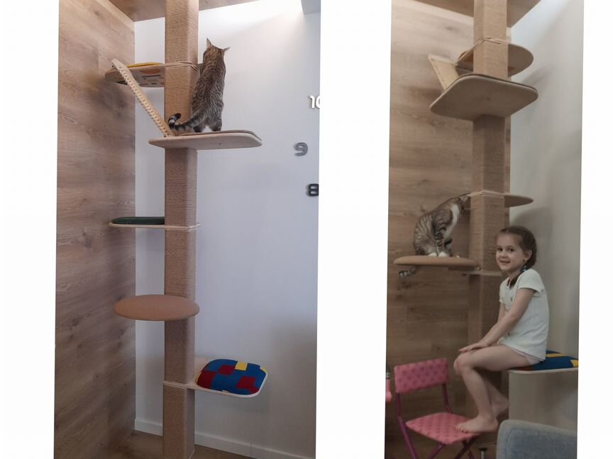 Когтеточка, когтедерка, комплекс, домик