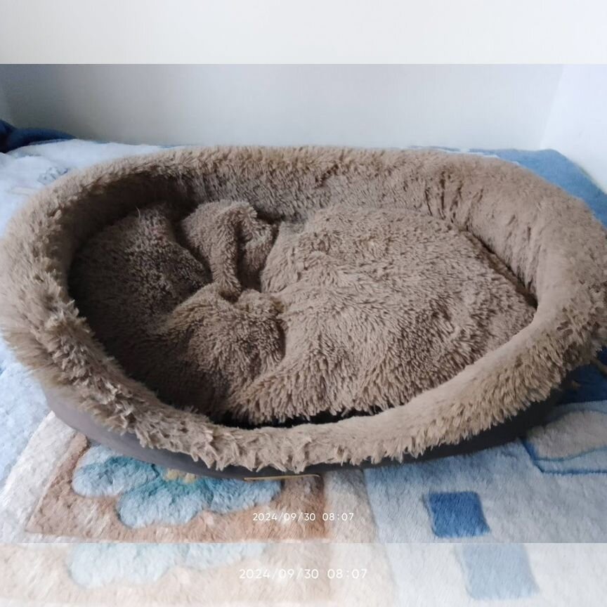 Большая лежанка для собаки