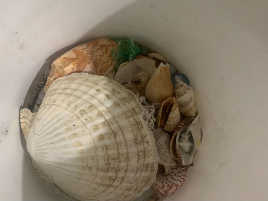 Украшения для аквариума