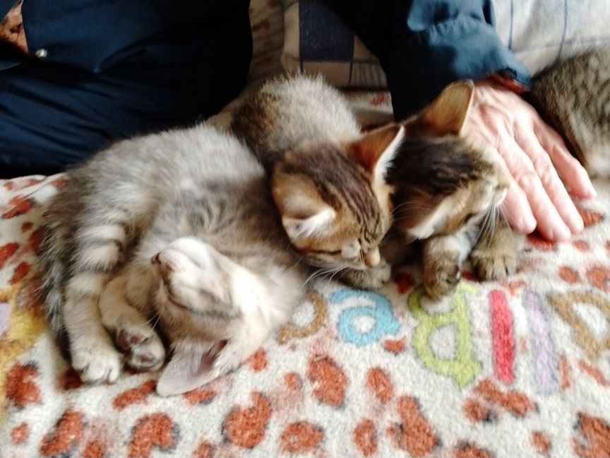 X2 мальчик и девочка