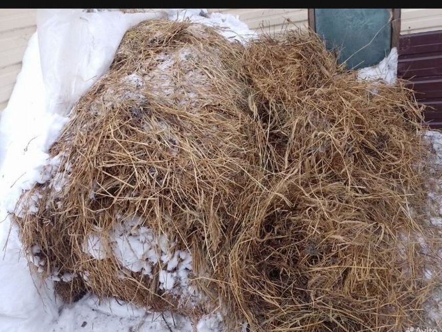 Солома бесплатно