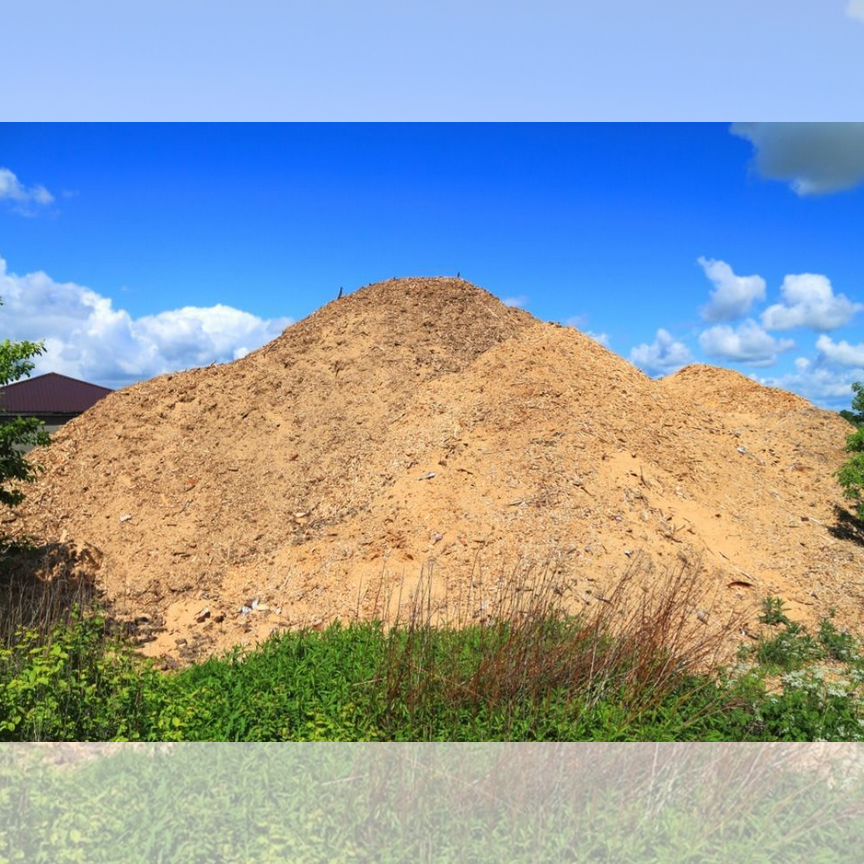 Опилки бесплатно