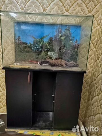 Аквариум