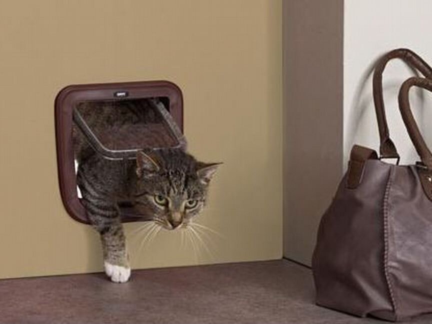 Котоход, дверца для кошек и собак 15х15см