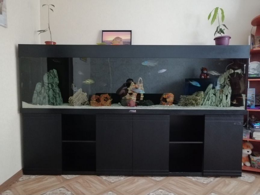 Аквариум 1000 литров