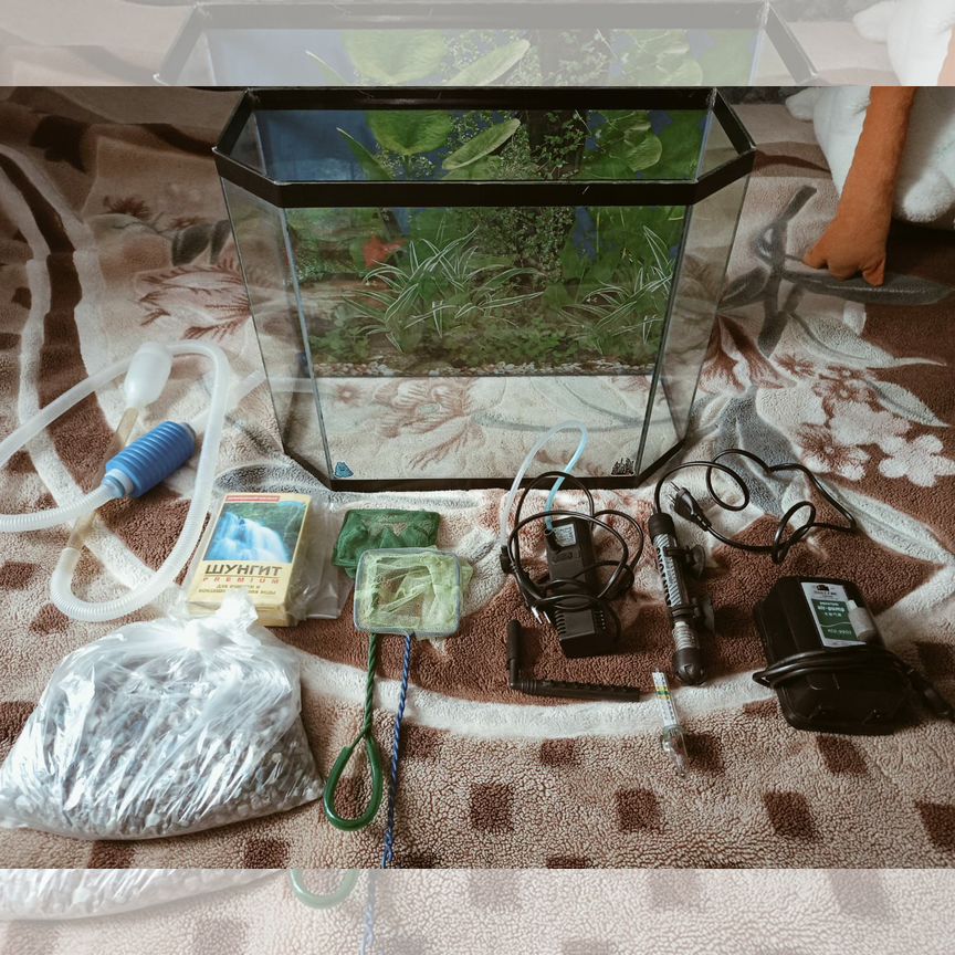 Аквариум, фильтр для аквариума