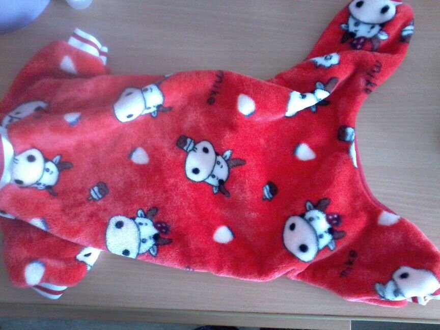 Одежда для собачки