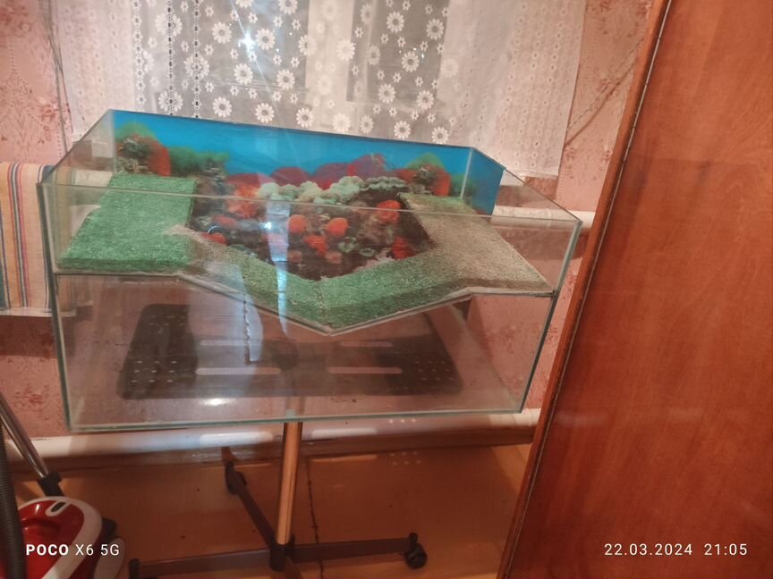Аквариум террариум