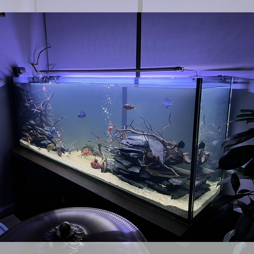 Аквариум под ключ